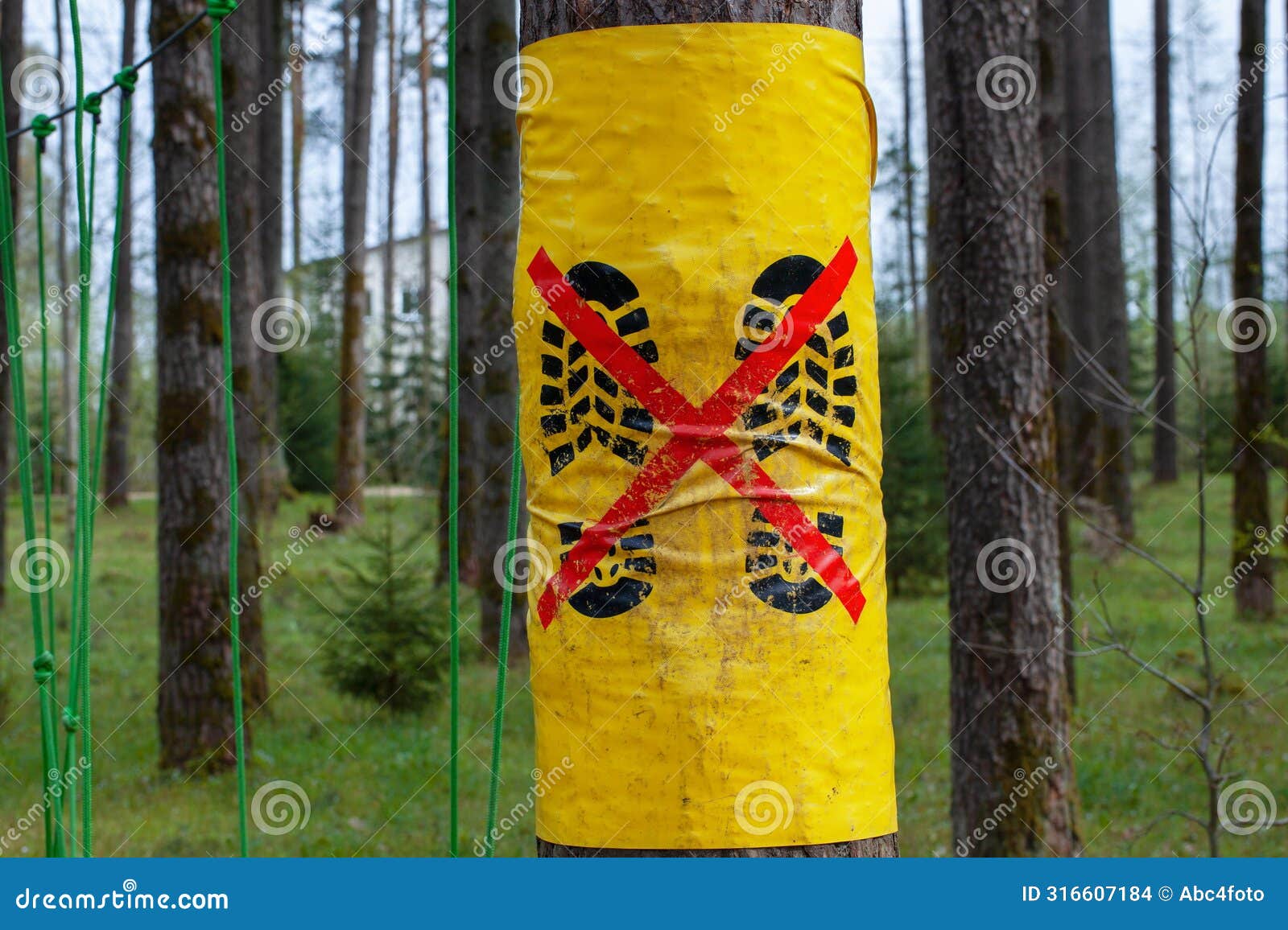 Warning Sign on a Tree in the Forest Stock Photo - Image of playground ...
