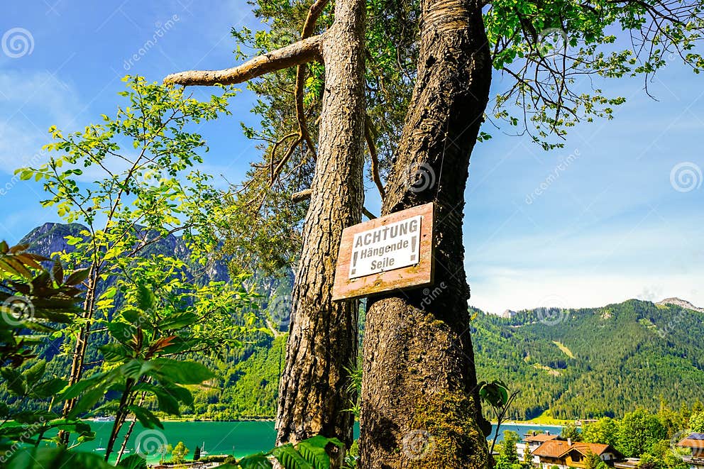 Warning sign on a tree stock photo. Image of nature - 350701106