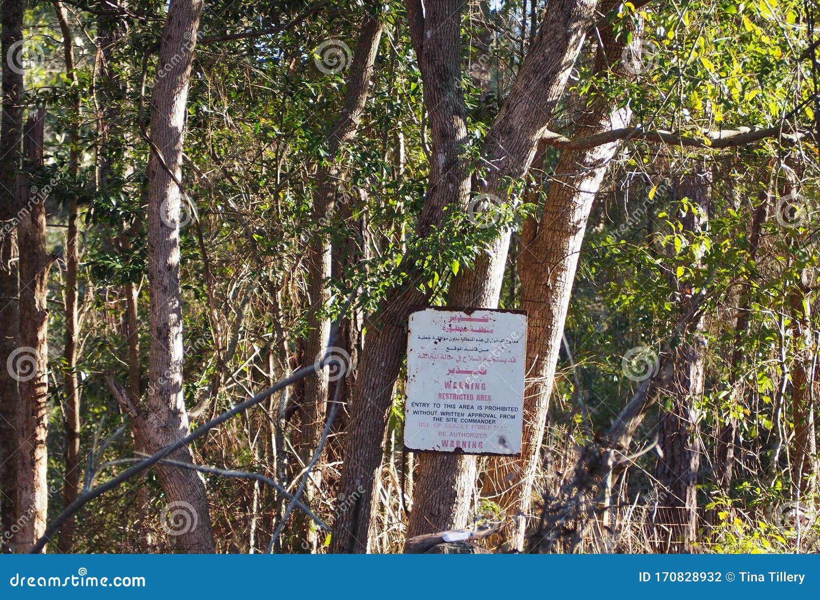 Warning Sign on a Tree in the Woods. Stock Photo - Image of random ...