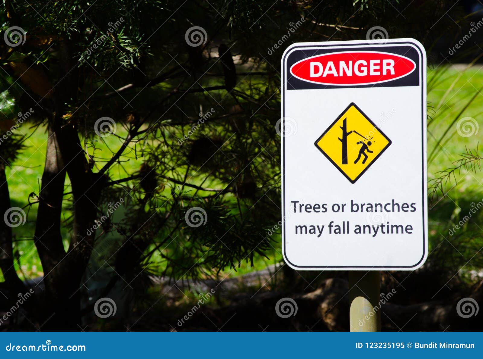 Warning Sign for Trees or Branches May Fall Anytime. Stock Image ...