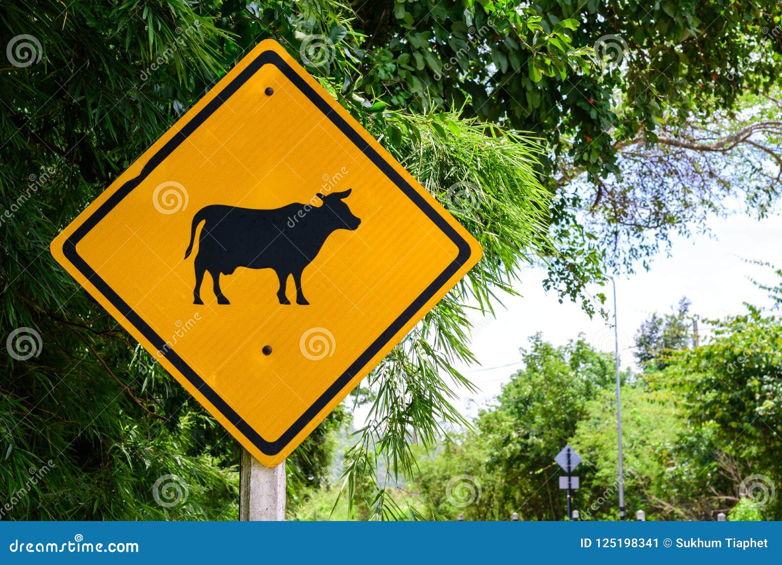 454 Cow Signs Stock Photos - Free & Royalty-Free Stock Photos from ...
