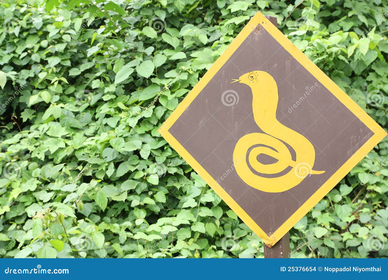Warning Signs Snake Stock Photography | CartoonDealer.com #25376654