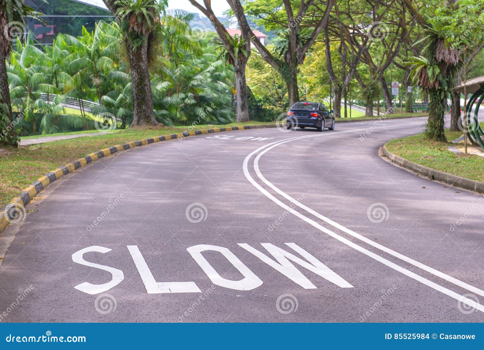 Warning Signs To Slow Down on a Curving Road Stock Photo - Image of ...