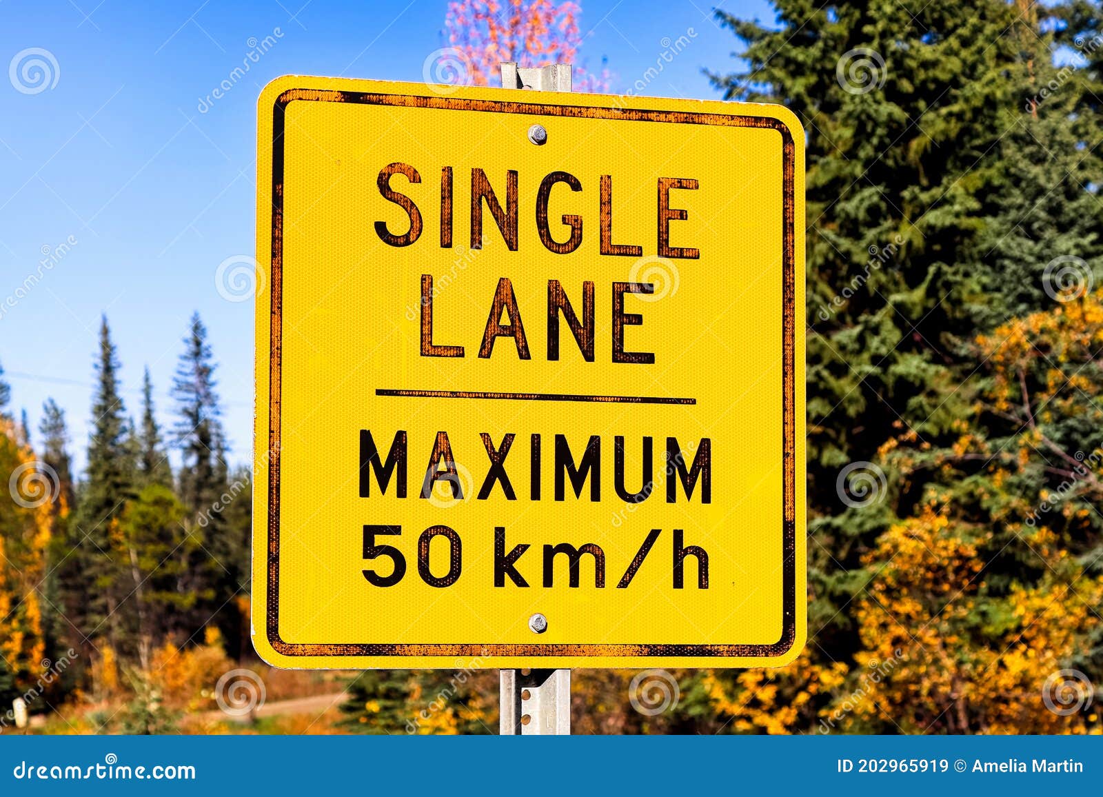 A Warning Single Lane, Maxium 50 Km Per Hour Sign Stock Image - Image ...