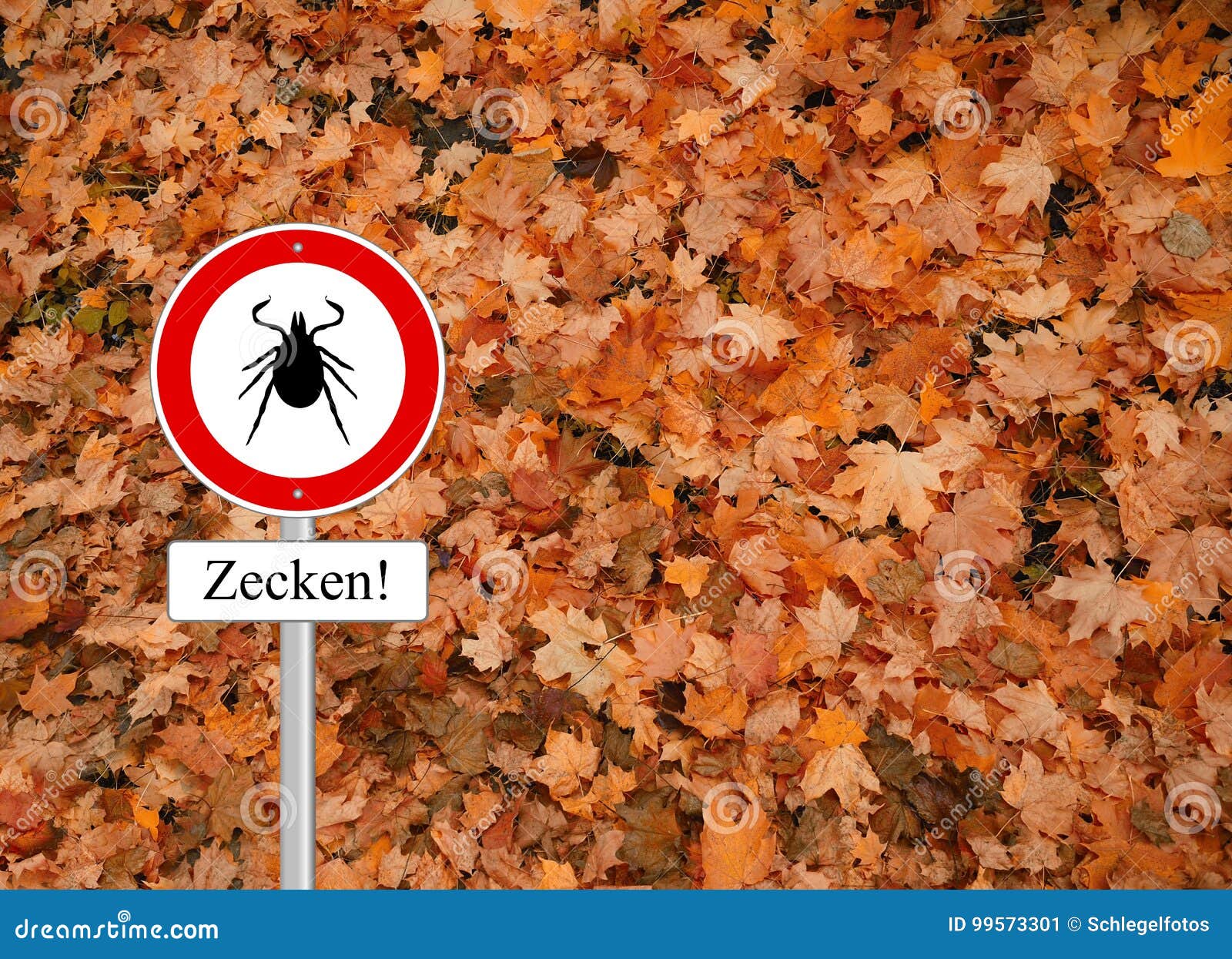 Tick Sign Near The House Model Royalty-Free Stock Image | CartoonDealer ...