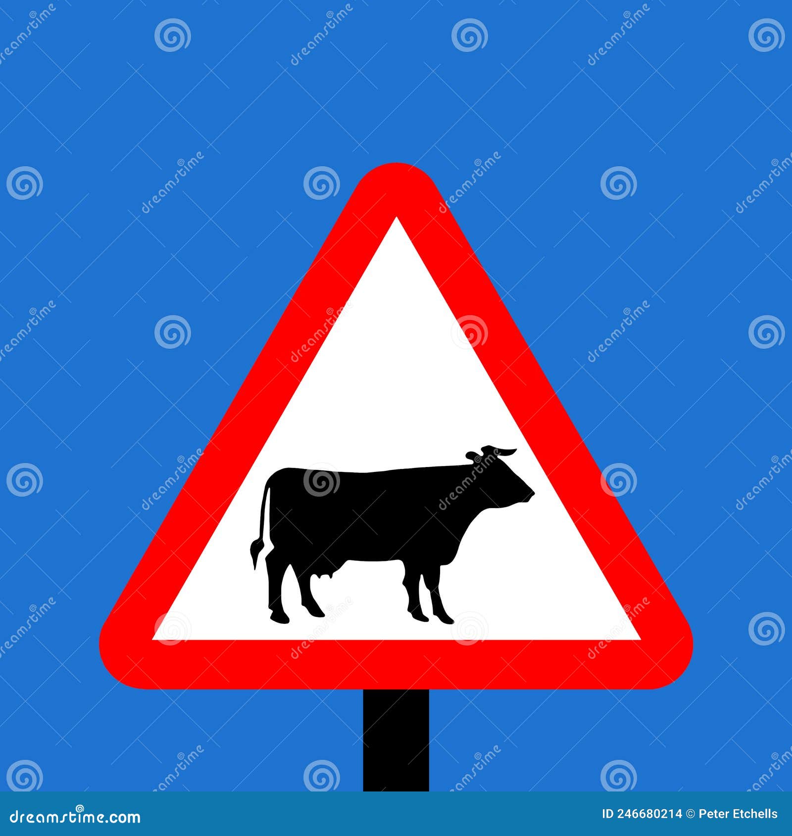 Warning Cattle Sign Cartoon Vector | CartoonDealer.com #2750333