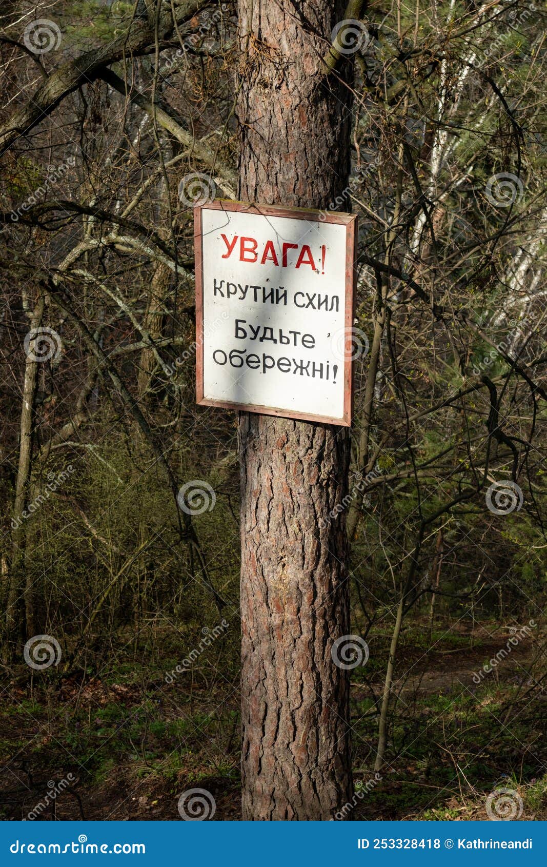 Warning White Sign Board on Pine Tree in Forest Stock Photo - Image of ...