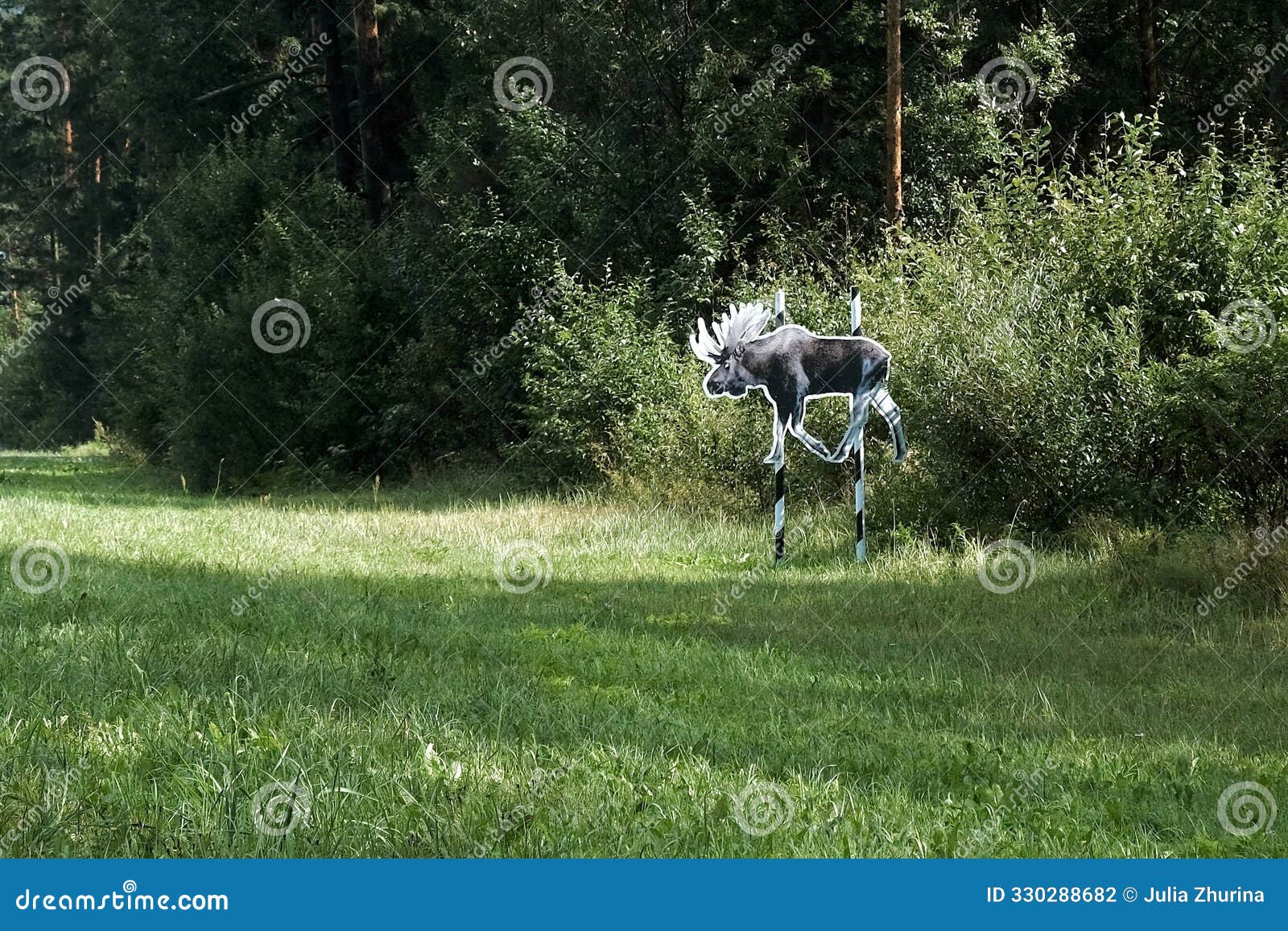 Warning Wild Animals Sign at the Exit from the Forest To the Highway ...