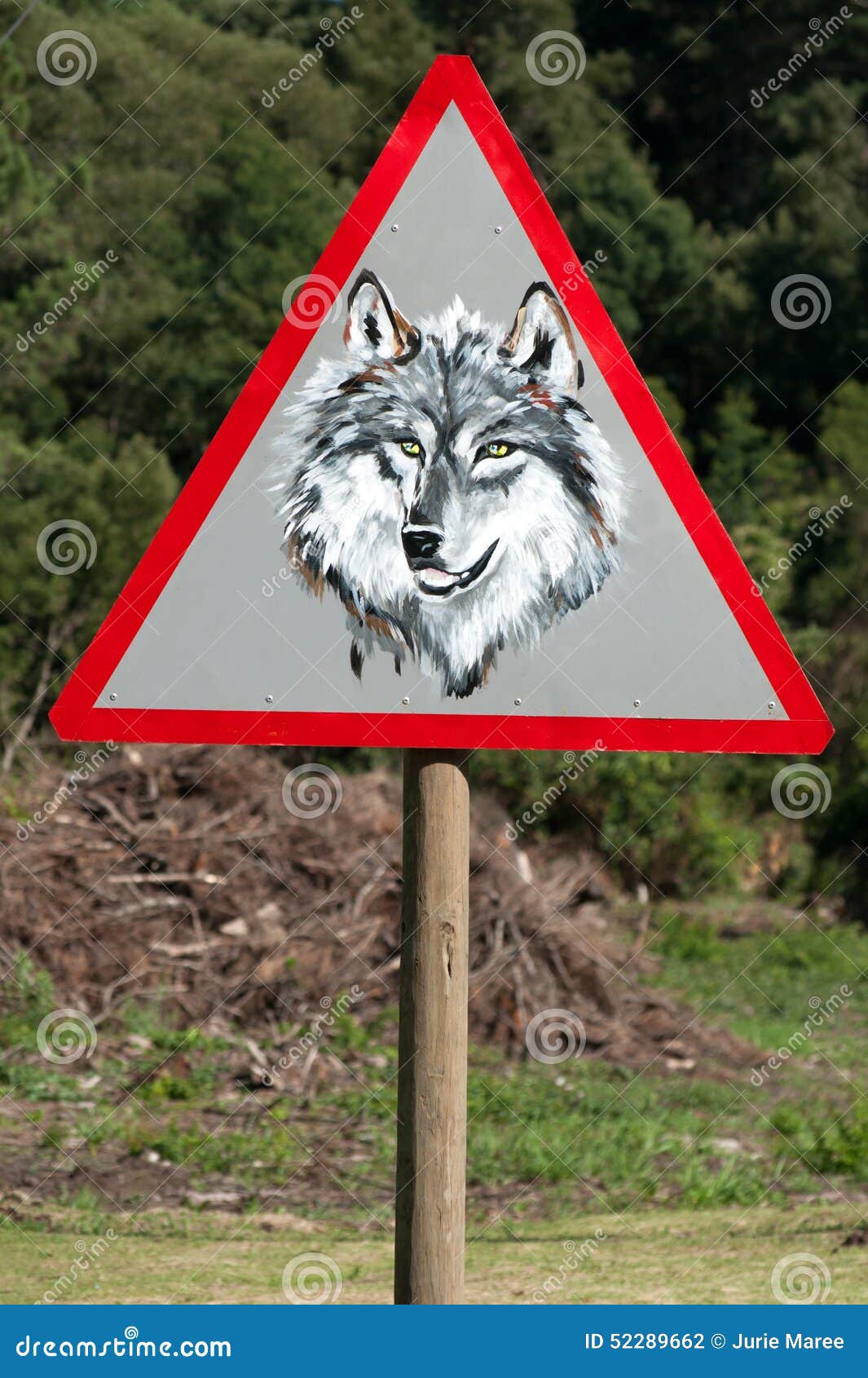 Warning. stock photo. Image of wildlife, danger, vertebrate - 52289662