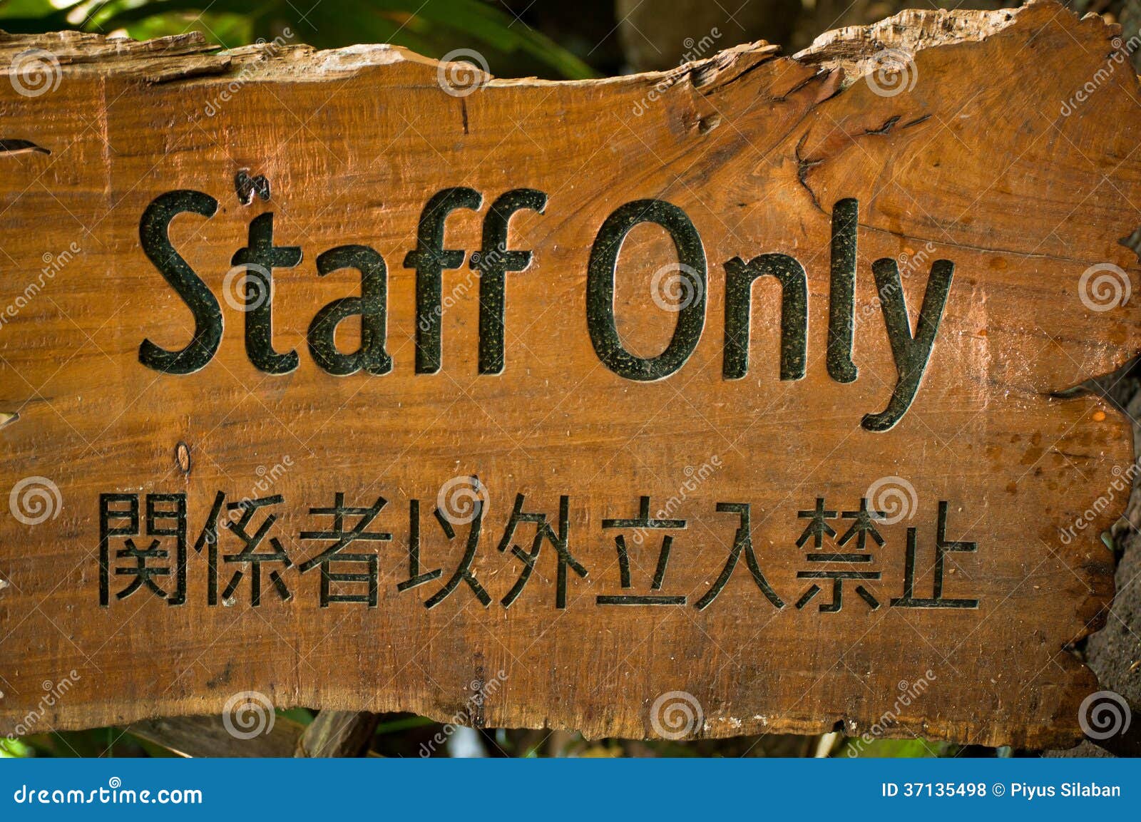 Warning words, Staff only stock photo. Image of safety - 37135498