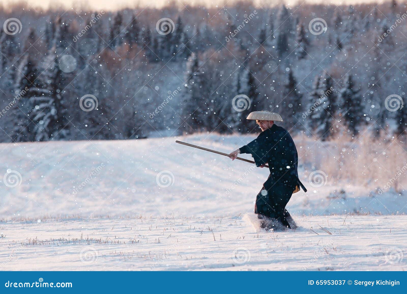 Warrior in snowy landscape stock image. Image of male - 65953037