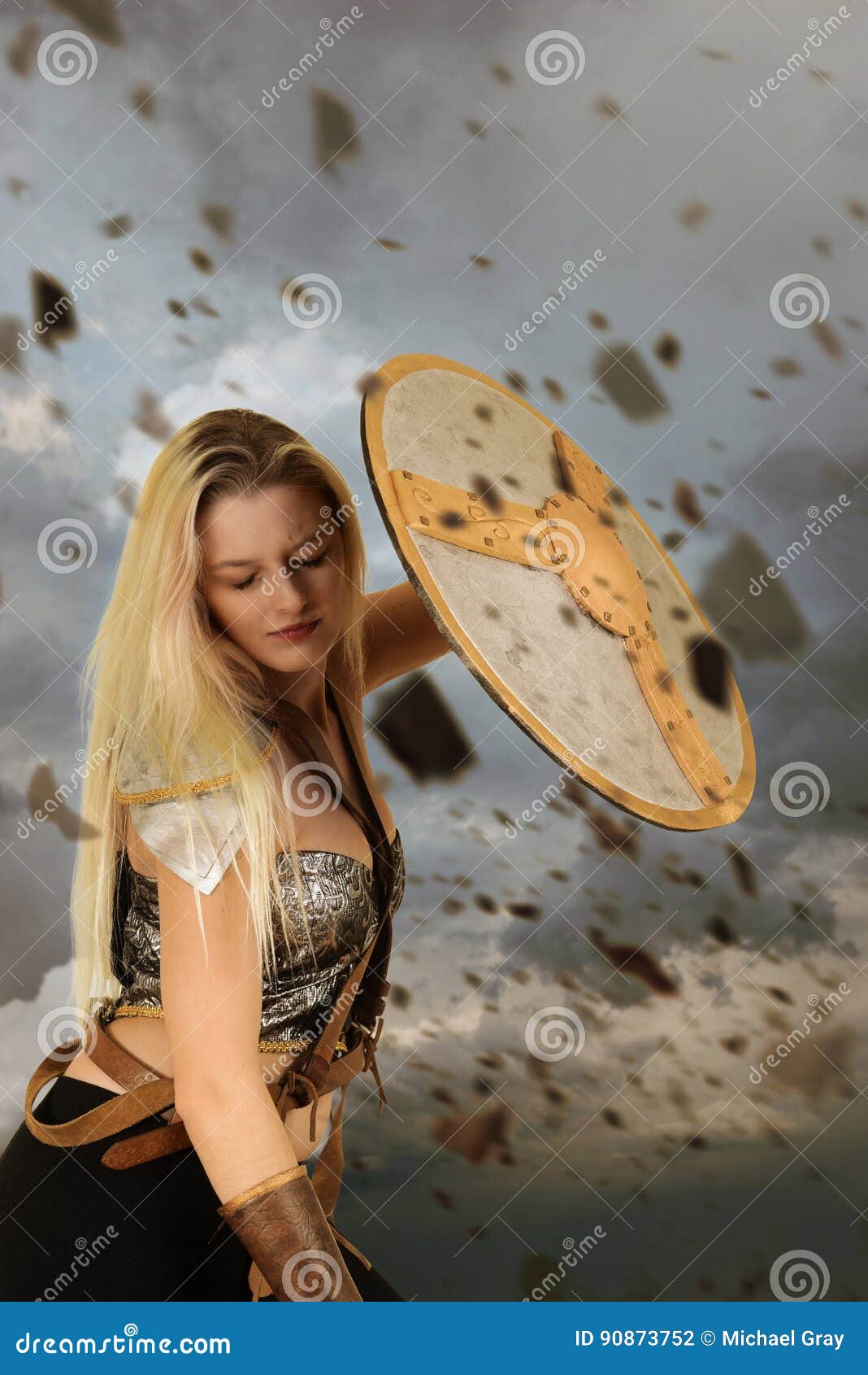679 Flying Shield Stock Photos - Free & Royalty-Free Stock Photos from ...