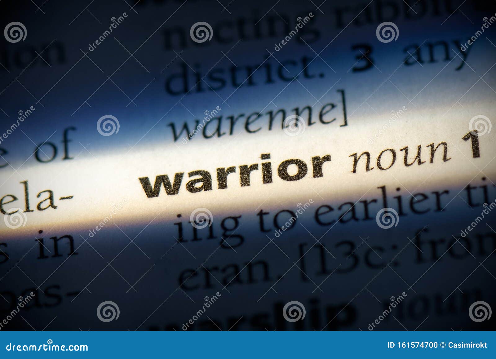 Warrior stock photo. Image of education, isolated, warrior - 161574700