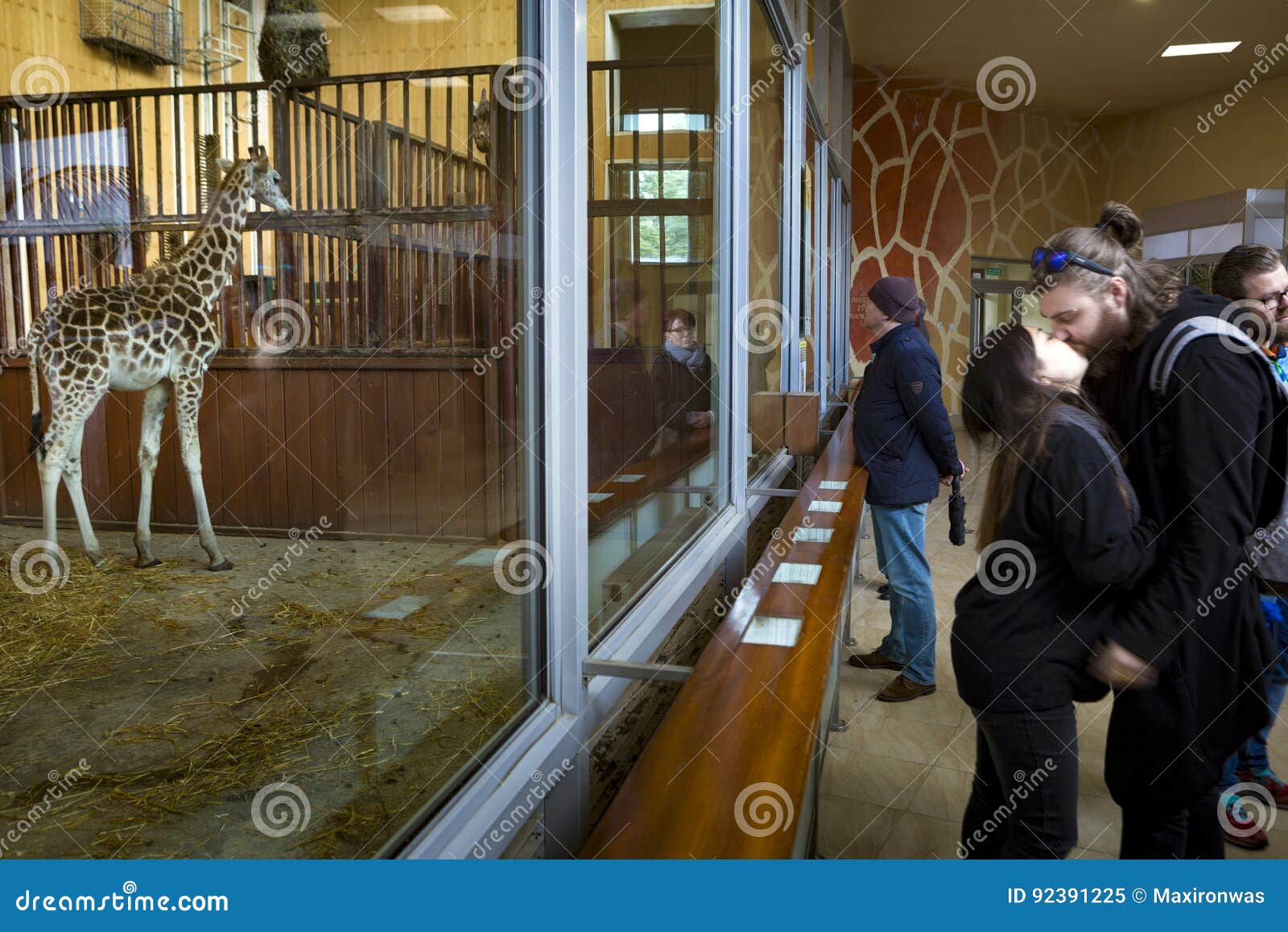 Warsaw - Polland editorial image. Image of warsaw, animals - 92391225