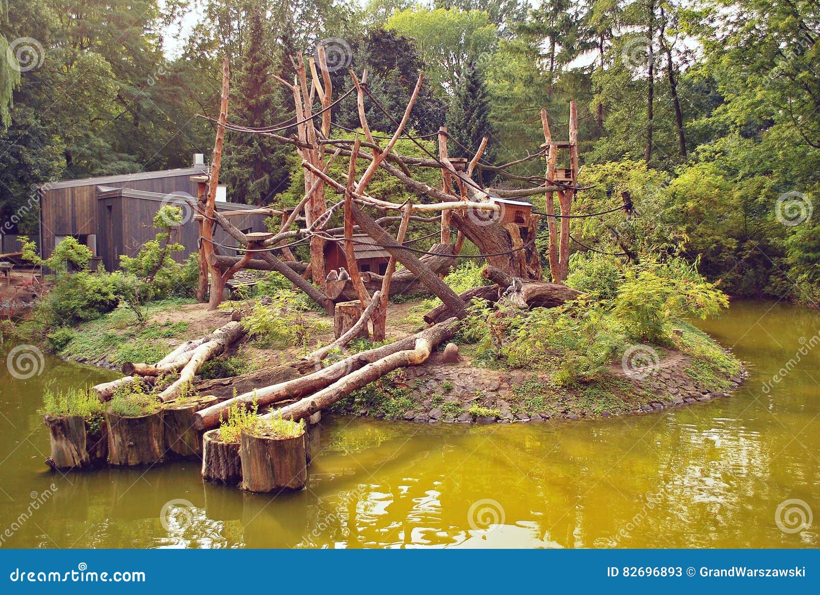 Warsaw zoo stock image. Image of male, feline, majestic - 82696893