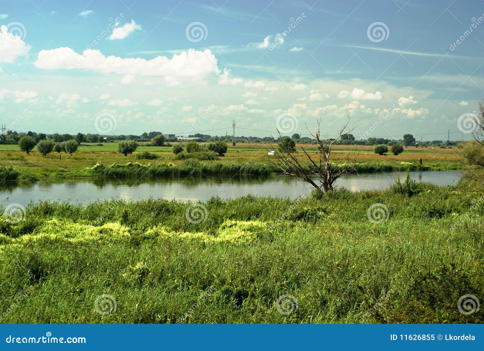 Warta river stock image. Image of environment, beautiful - 11626855