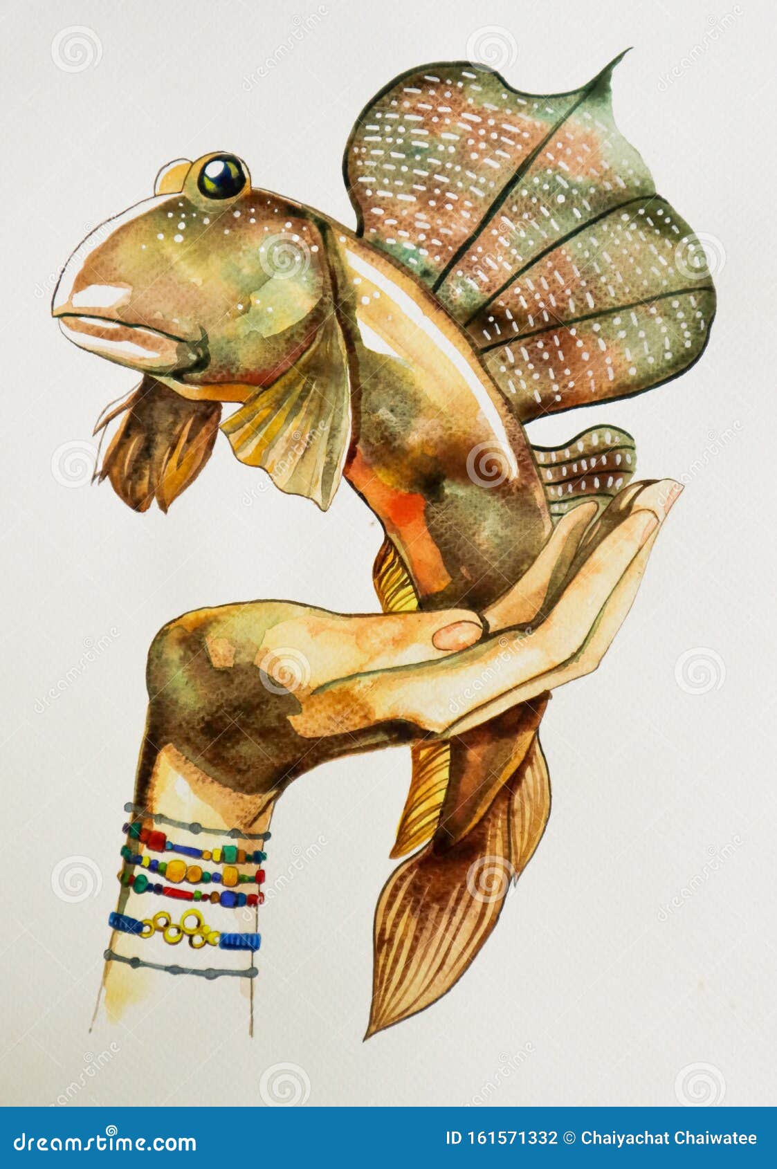 Wartercolor Painting of Mudskipper,composition Stock Photo - Image of ...