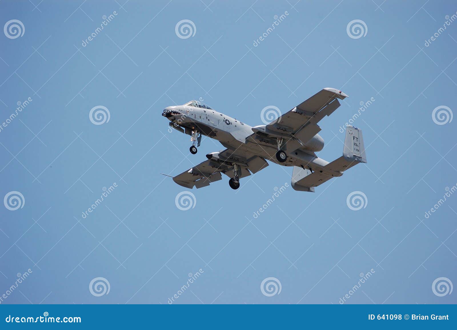 Warthog stock photo. Image of attack, thunderbolt, gatling - 641098