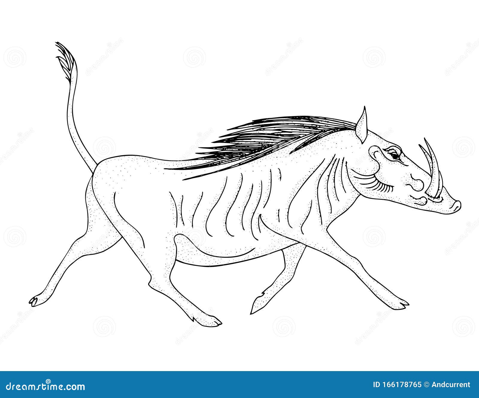 Warthog. Black Hand Drawn Realistic Outline Vector Image. Stock Vector ...