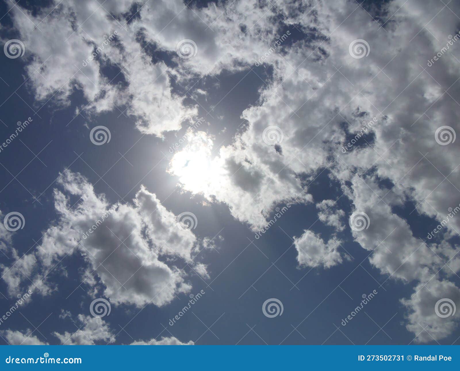 Early spring sun stock image. Image of tree, horizon - 273502731