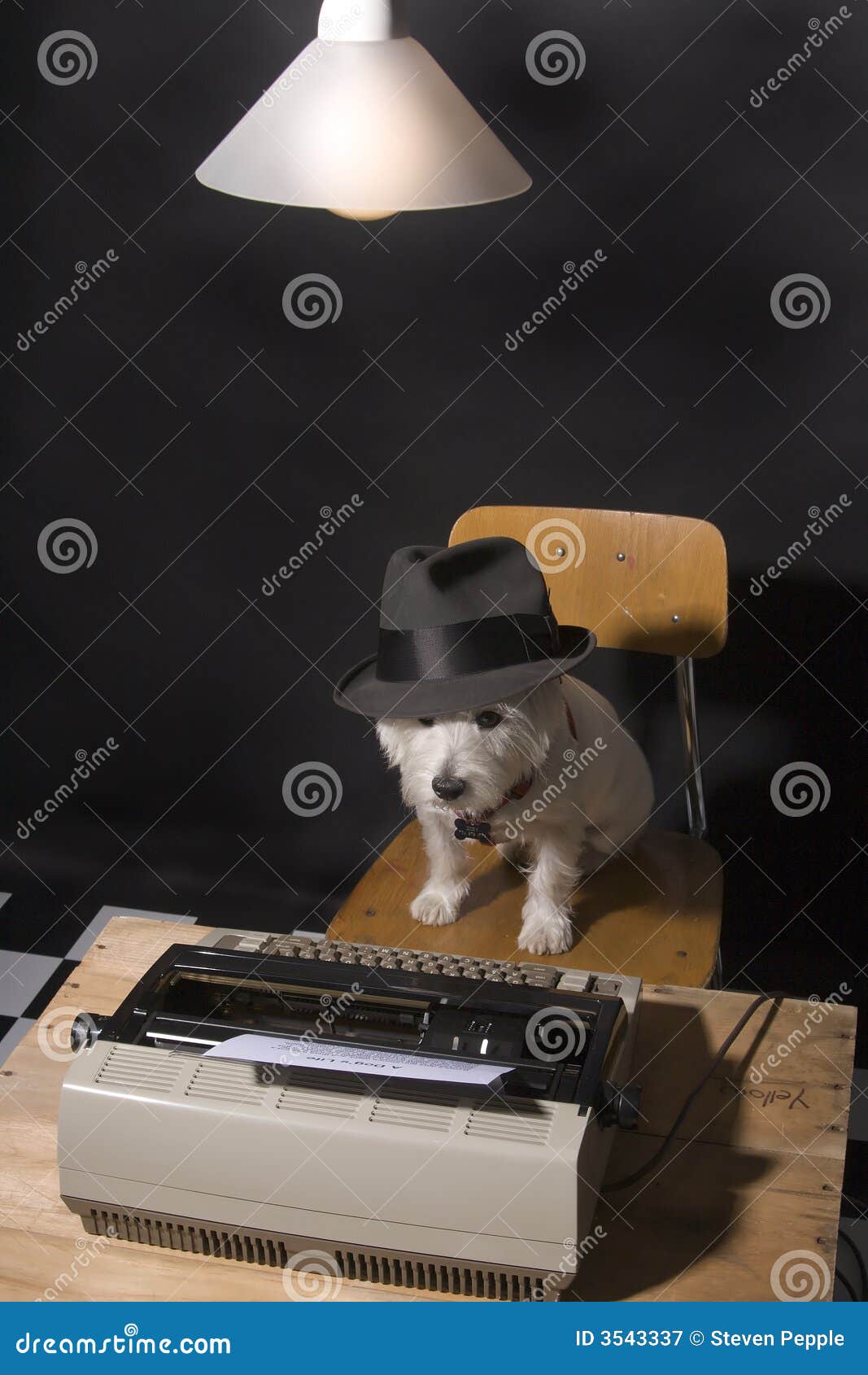 176 Dark Night Typewriter Stock Photos - Free & Royalty-Free Stock ...