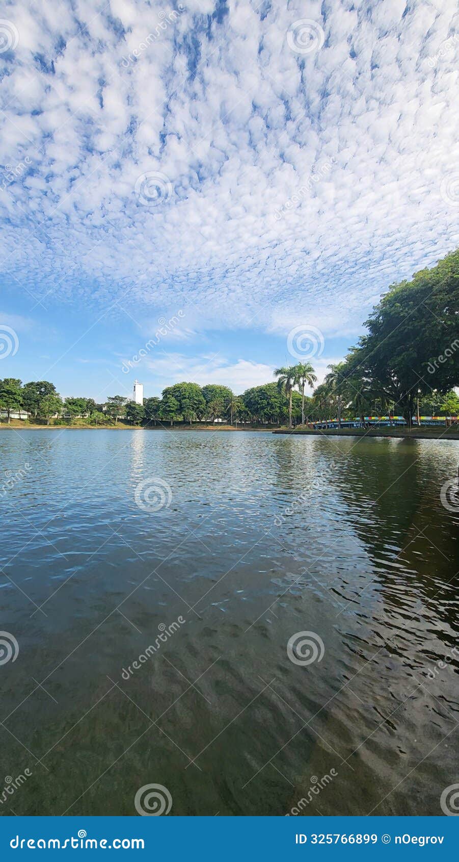 A Serene Waterside Scene Under a Vast Sky Filled with Altocumulus ...