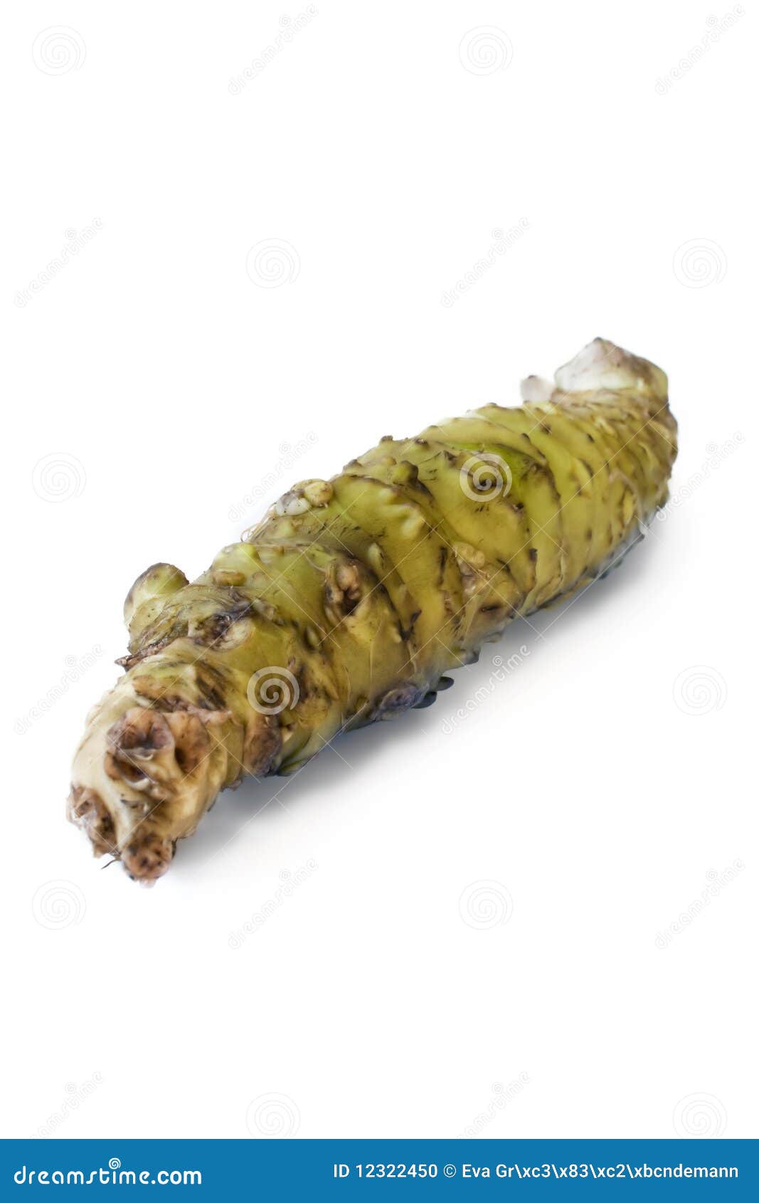 Wasabi stock photo. Image of green, background, japonica - 12322450
