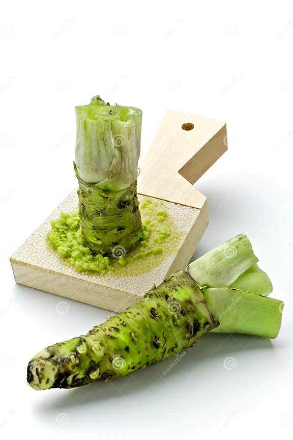 Wasabi stock photo. Image of flavor, green, wasabi, vegetable - 25211106