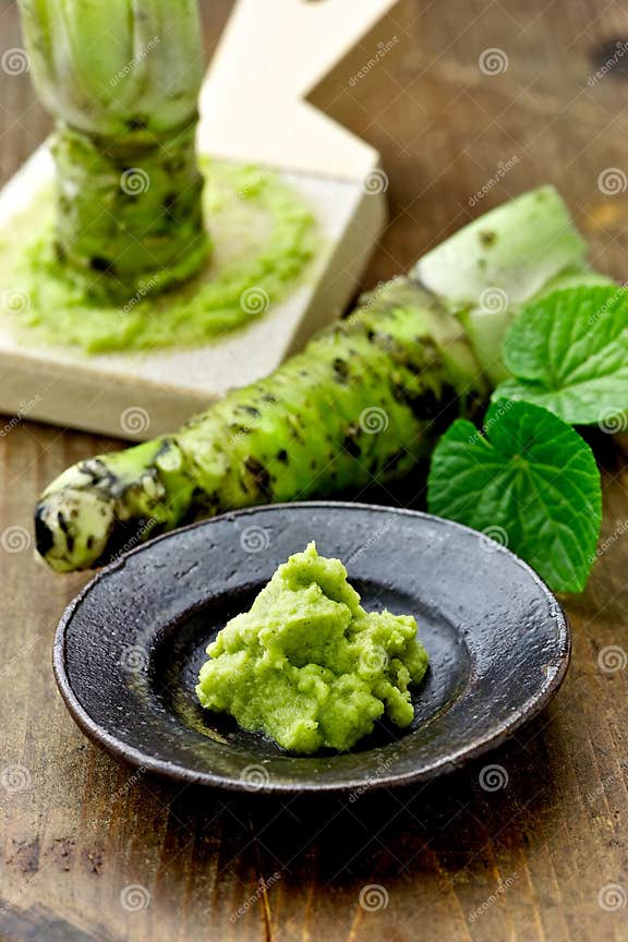 Wasabi stock photo. Image of flavor, japan, fresh, vegetable - 25211146