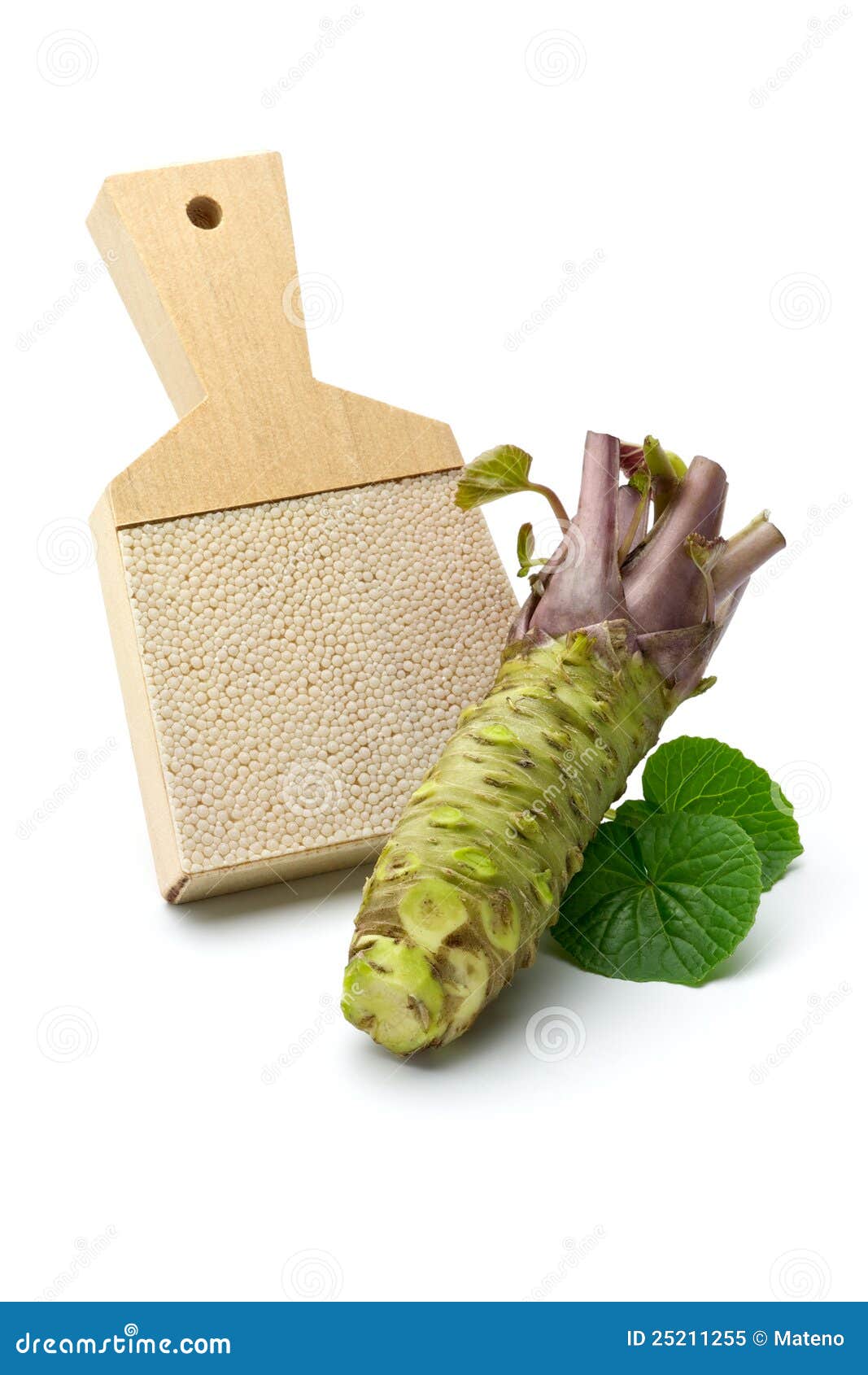 Wasabi stock image. Image of spice, fresh, flavor, root - 25211255