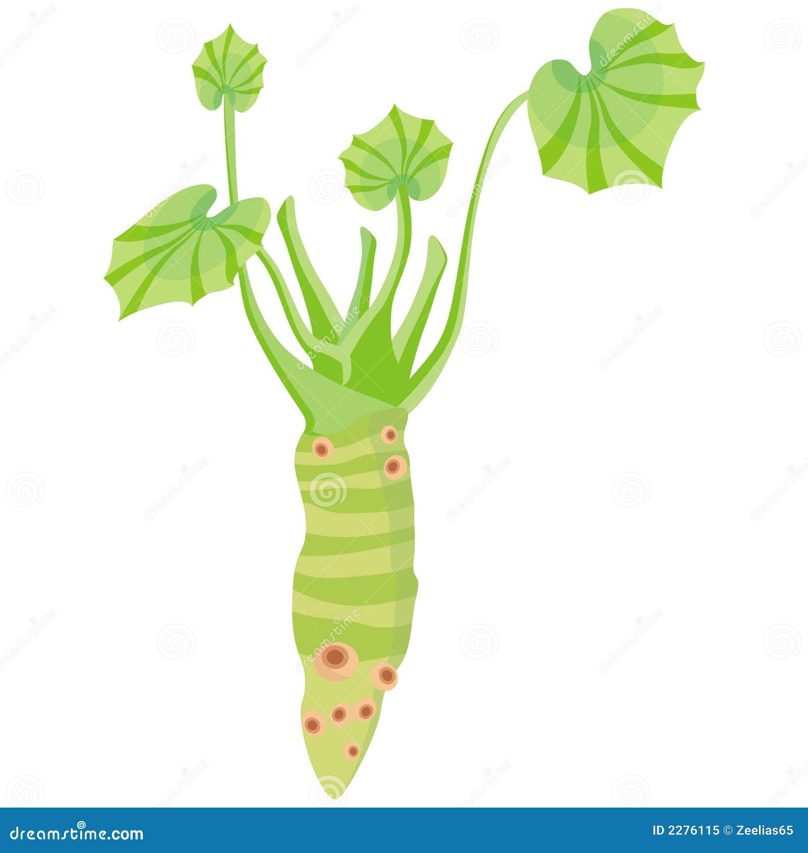 Wasabi Stock Illustrations – 2,265 Wasabi Stock Illustrations, Vectors ...