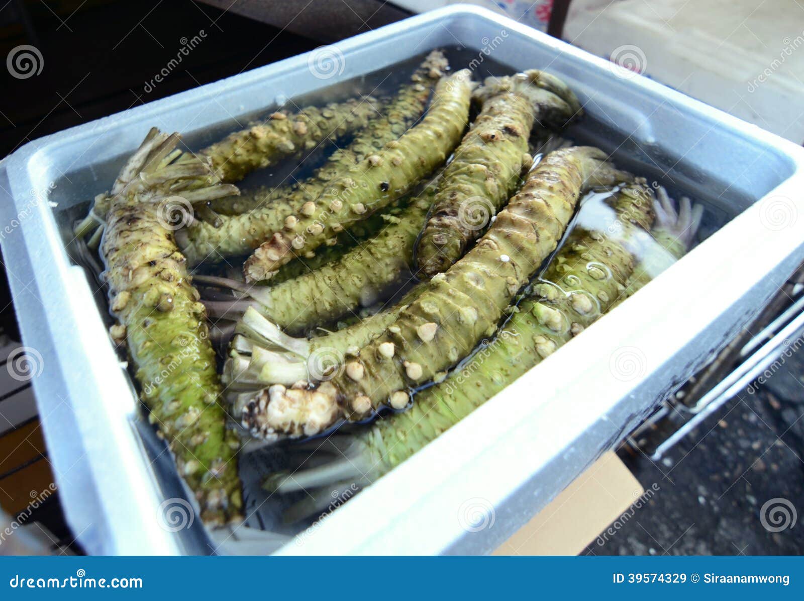 Wasabi Root at the Japanese Market. Stock Image - Image of fresh ...