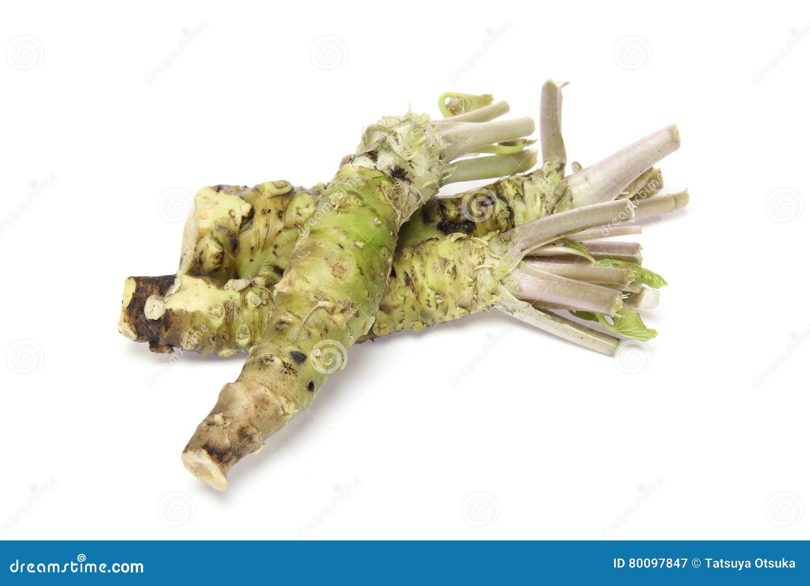 Wasabi in a White Background Stock Image - Image of fresh, spice: 80097847