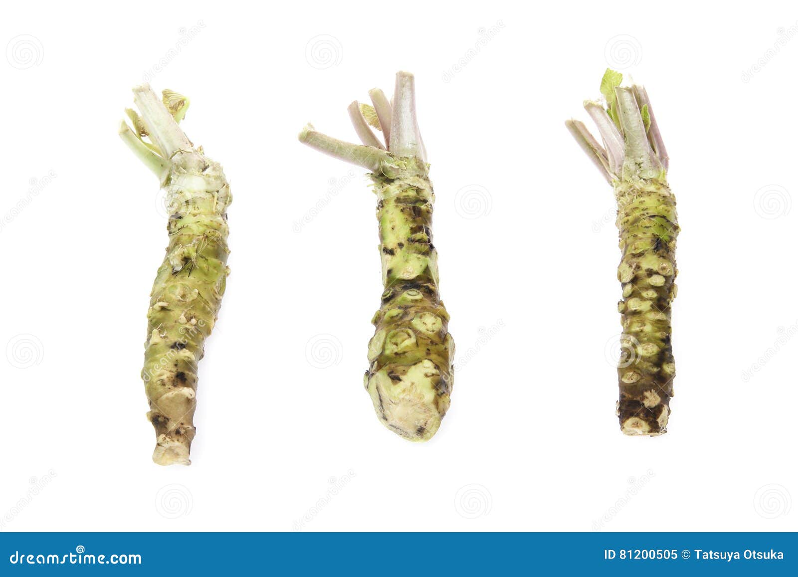 Wasabi in a White Background Stock Image - Image of fresh, condiment ...
