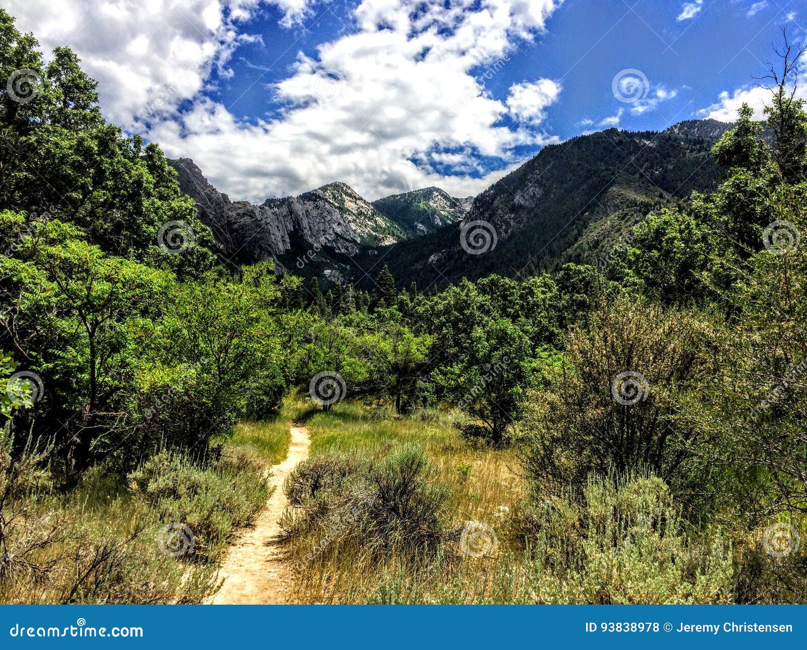 Wasatch Mountain Range Trail through Trees Stock Photo - Image of ...