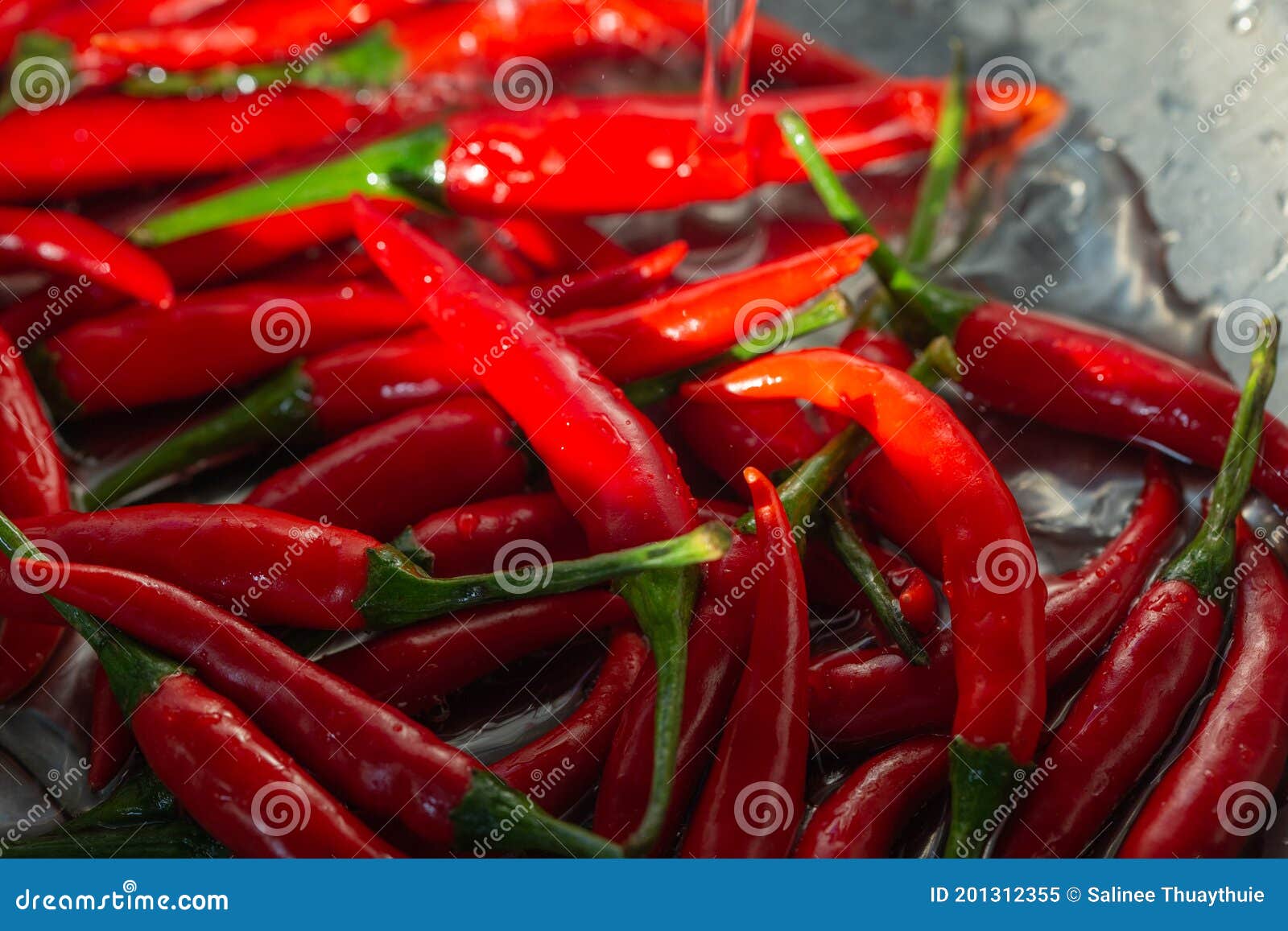 Wash fresh chilli for cook stock image. Image of material - 201312355