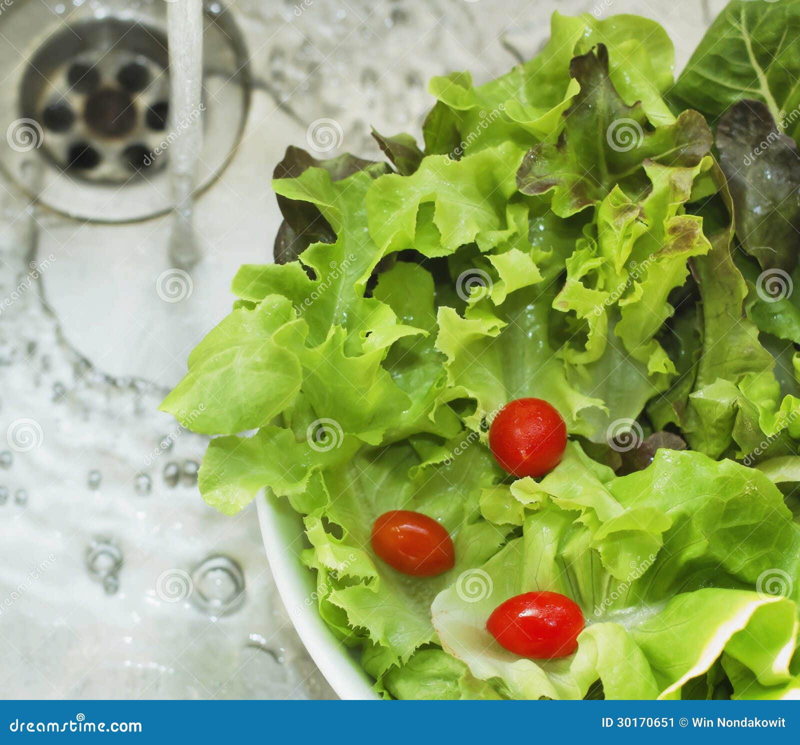 Wash salad stock image. Image of solanum, drop, organic - 30170651