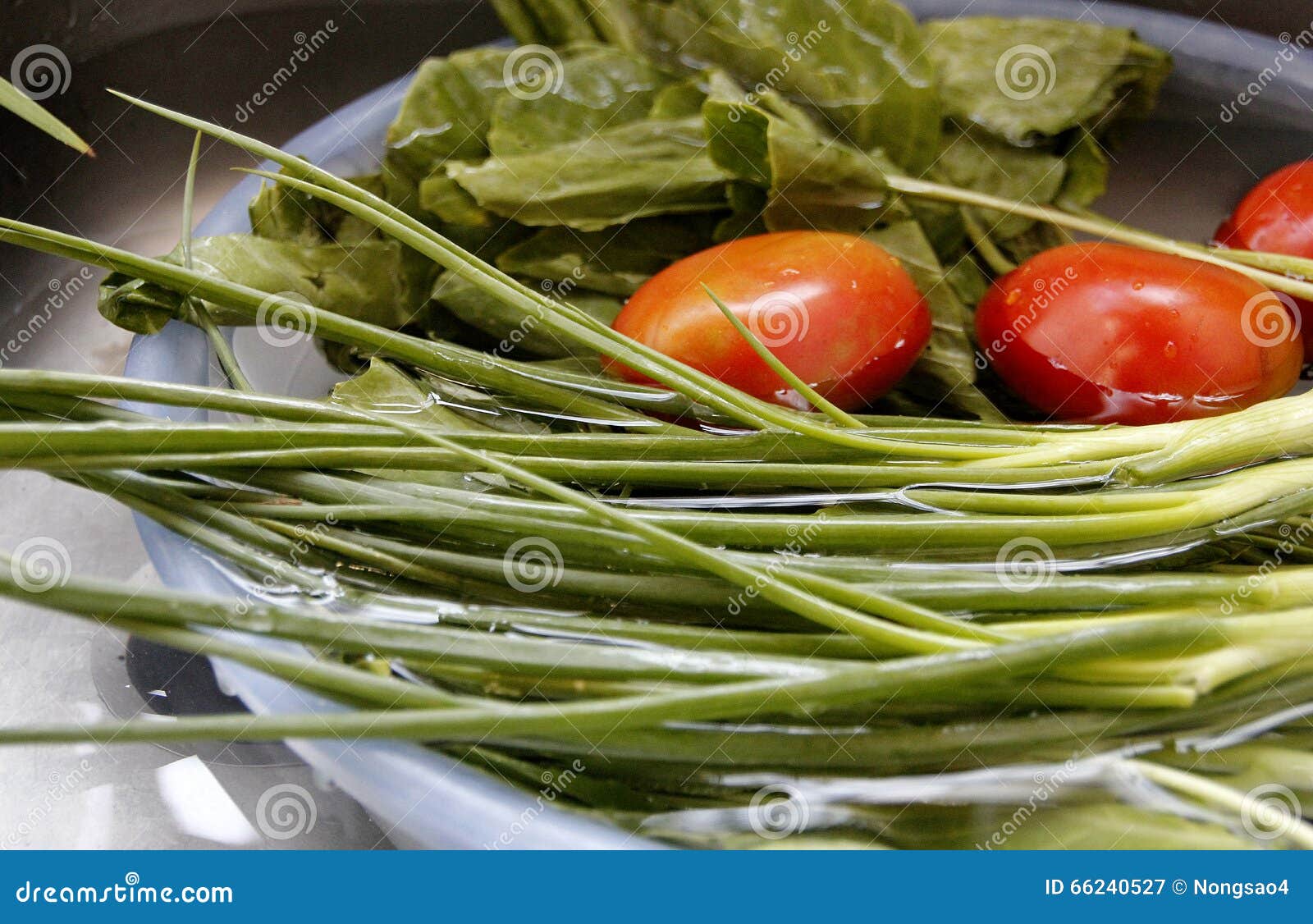 Wash vegetables stock image. Image of clear, cleaning - 66240527