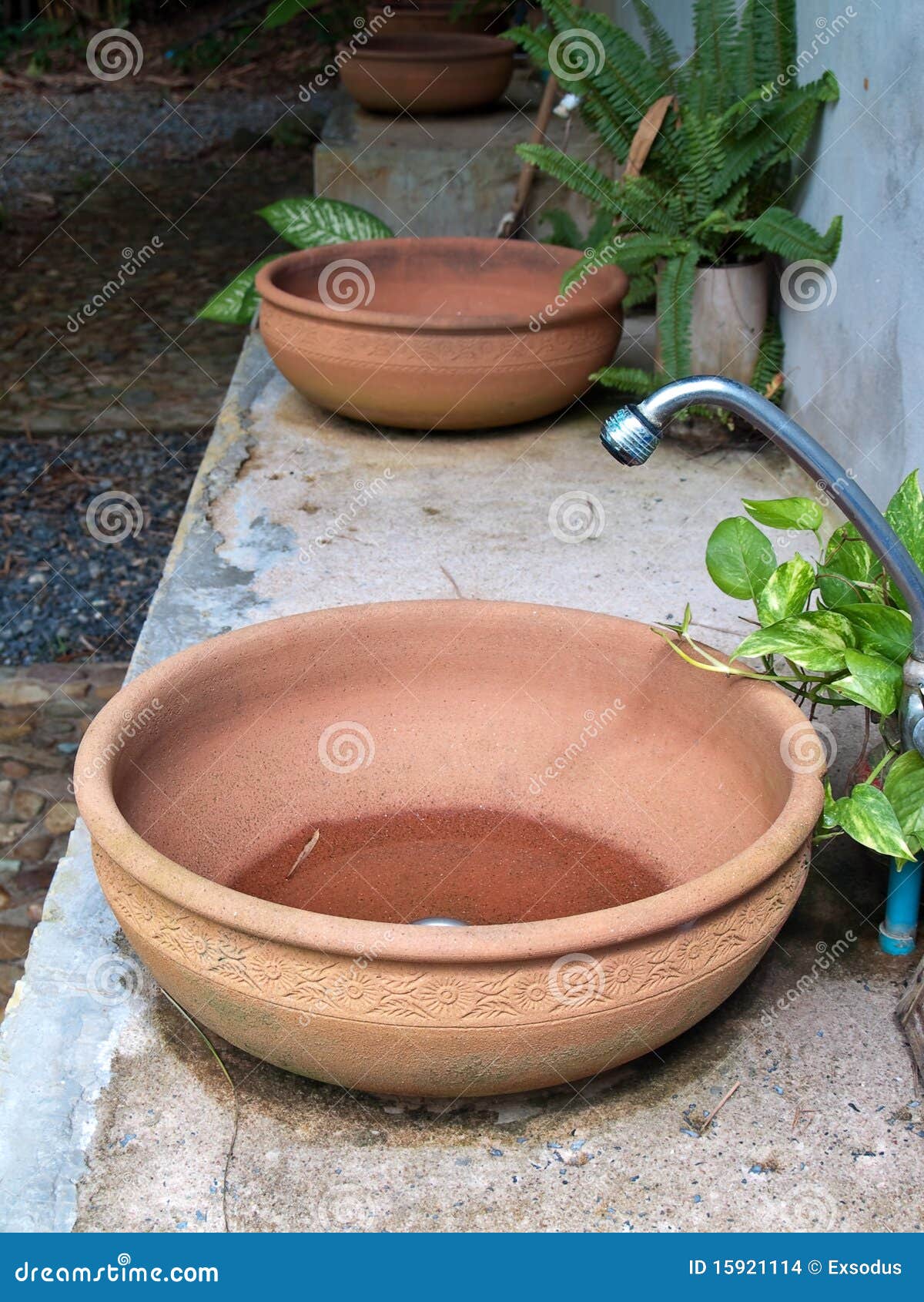 Washbasin stock photo. Image of bowl, plant, architecture - 15921114