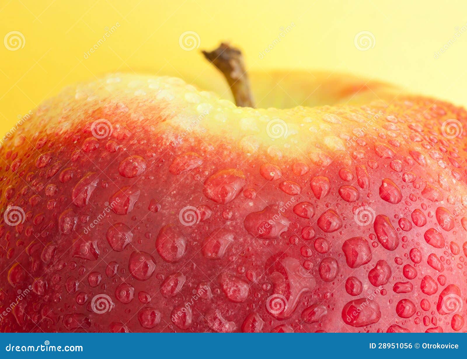 Washed apple stock photo. Image of macro, apple, pure - 28951056