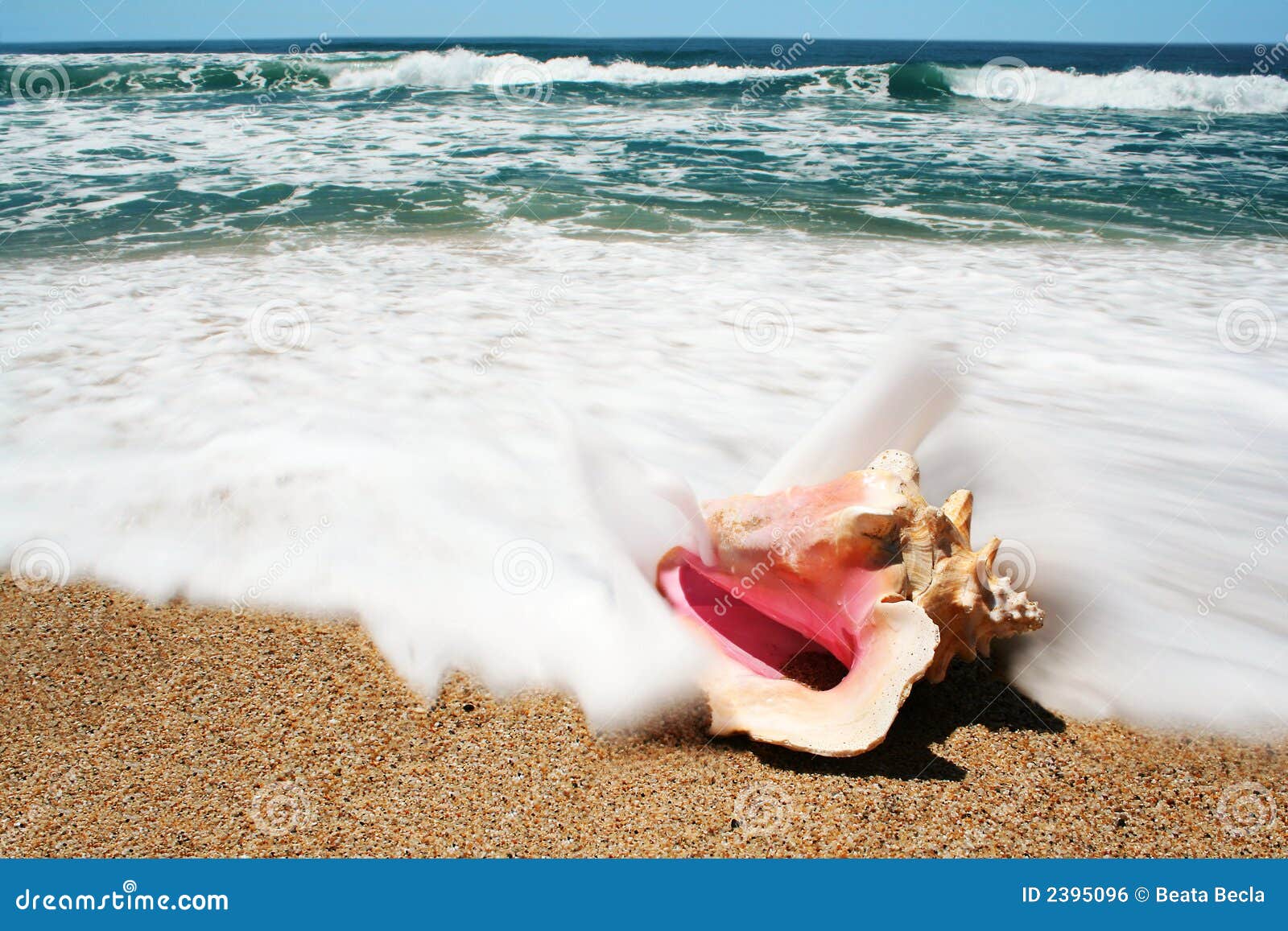 Washed away shell stock photo. Image of colorful, tourism - 2395096