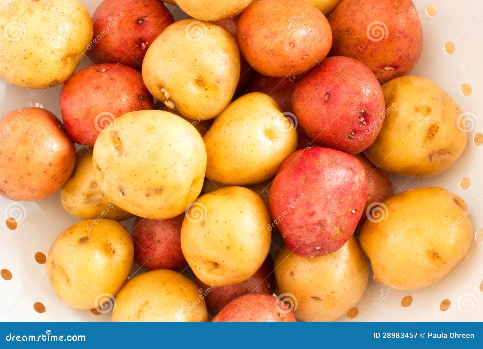 Washed Baby Potatoes in White Colander Stock Image - Image of colander ...