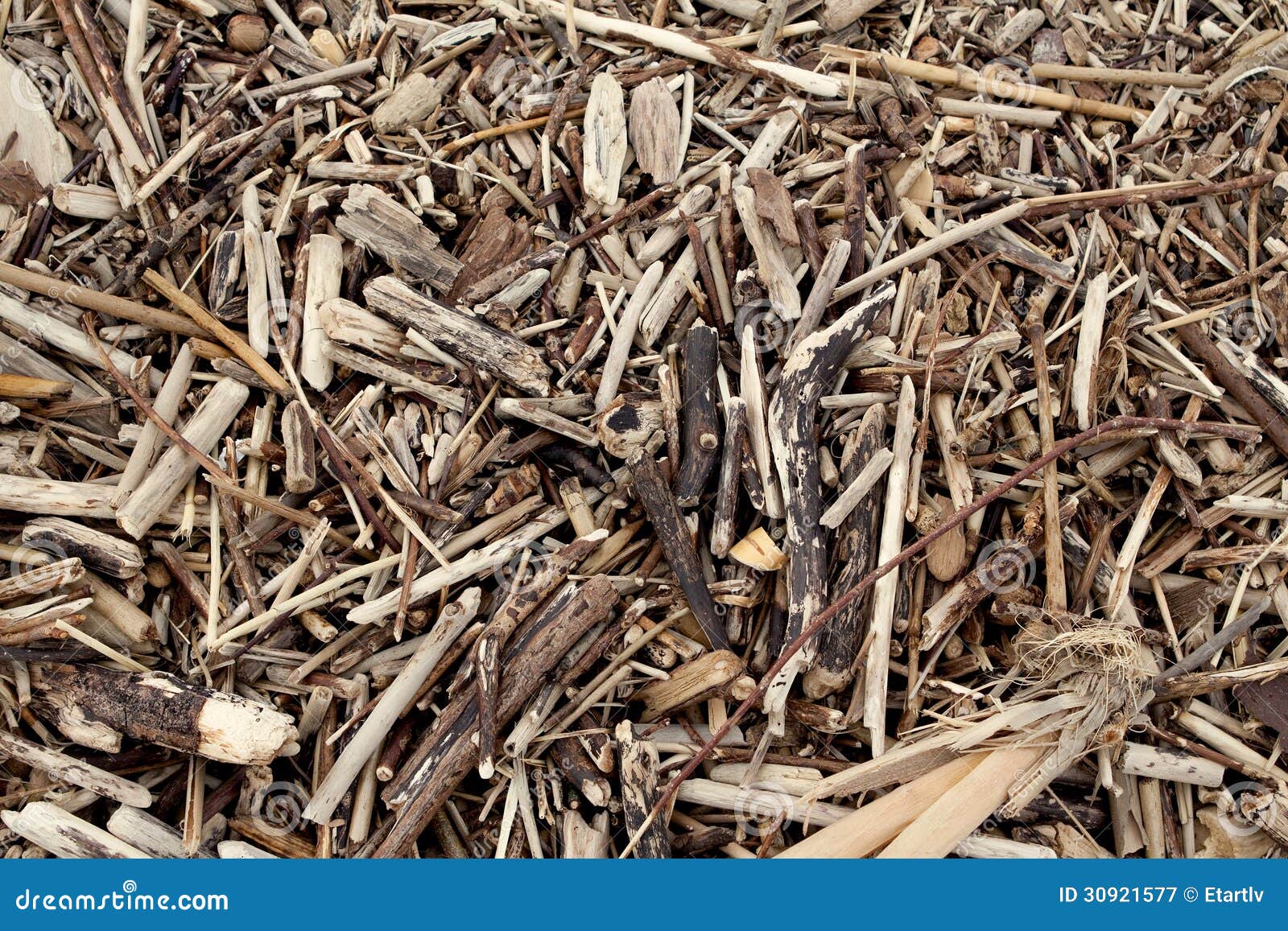 Washed Branches Texture Stock Image | CartoonDealer.com #30921577