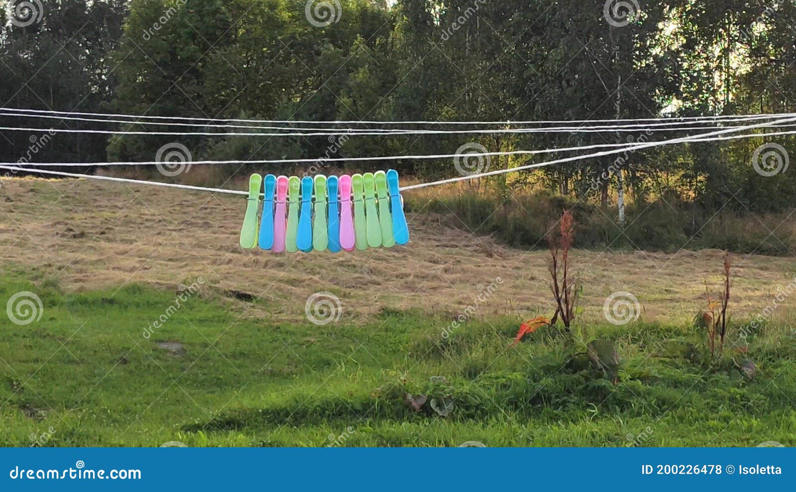 Washed Clean Laundry Hanging on the Rope or Clothesline Drying in the ...