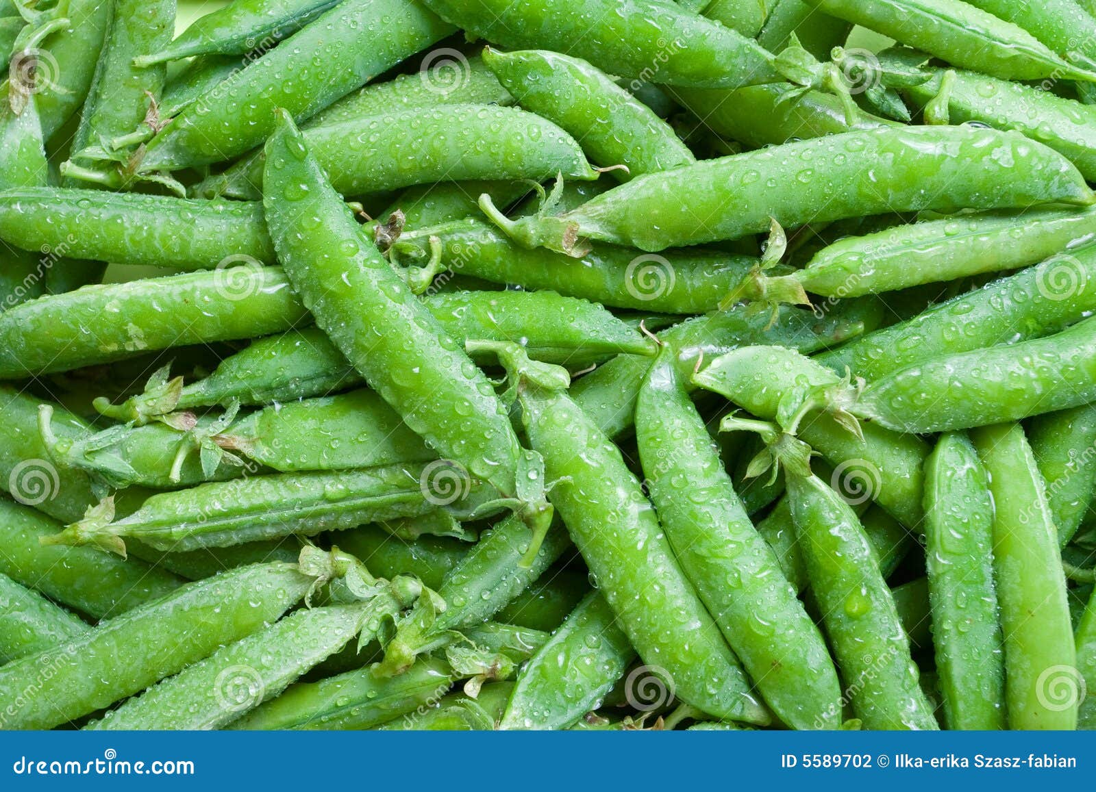 Washed green peas stock photo. Image of veggies, legume - 5589702