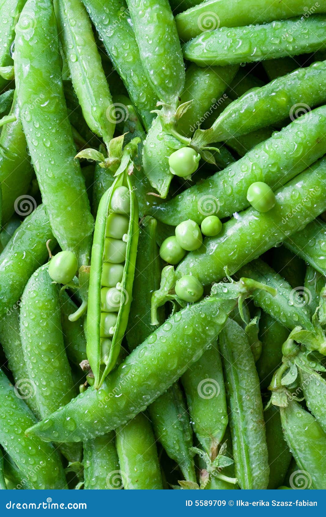 Washed green peas stock image. Image of vegetable, healthy - 5589709