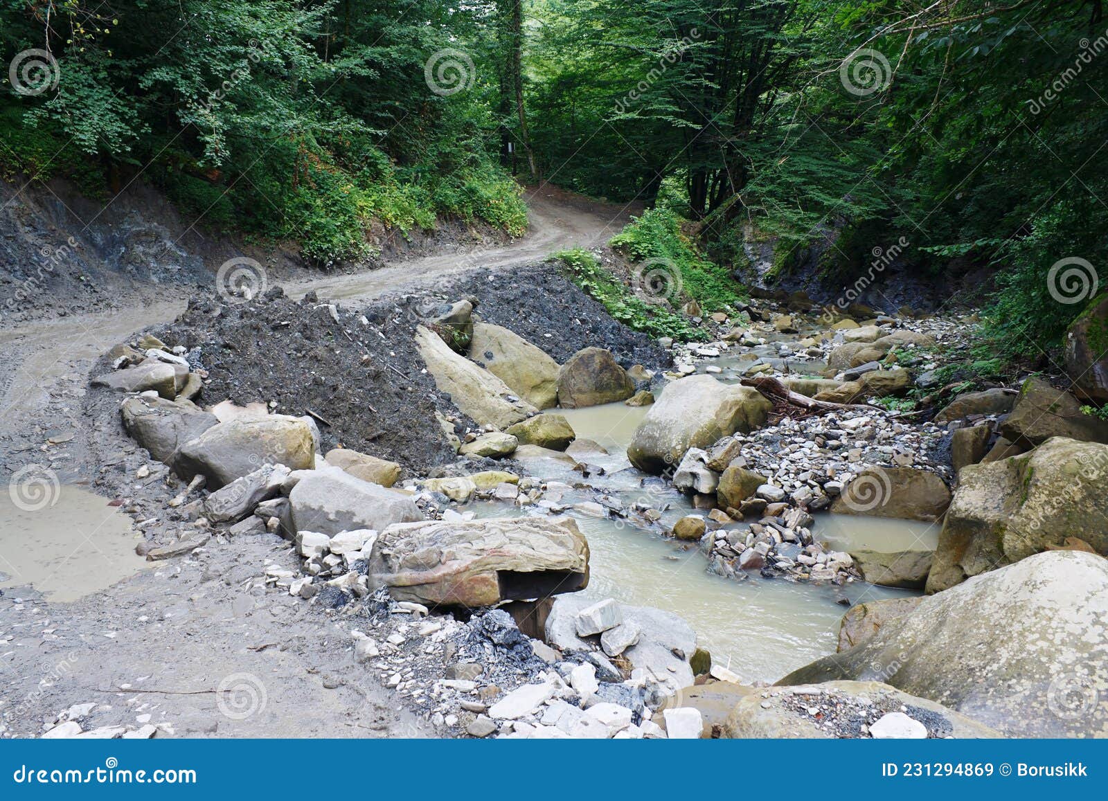 Washed Out Forest Road Near Stream after Rain Stock Image - Image of ...