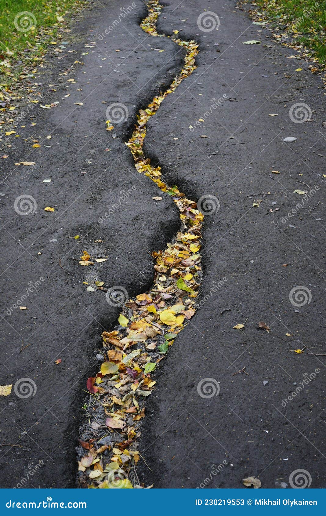 Washed Out Path by Rain in the Park Stock Image - Image of environment ...