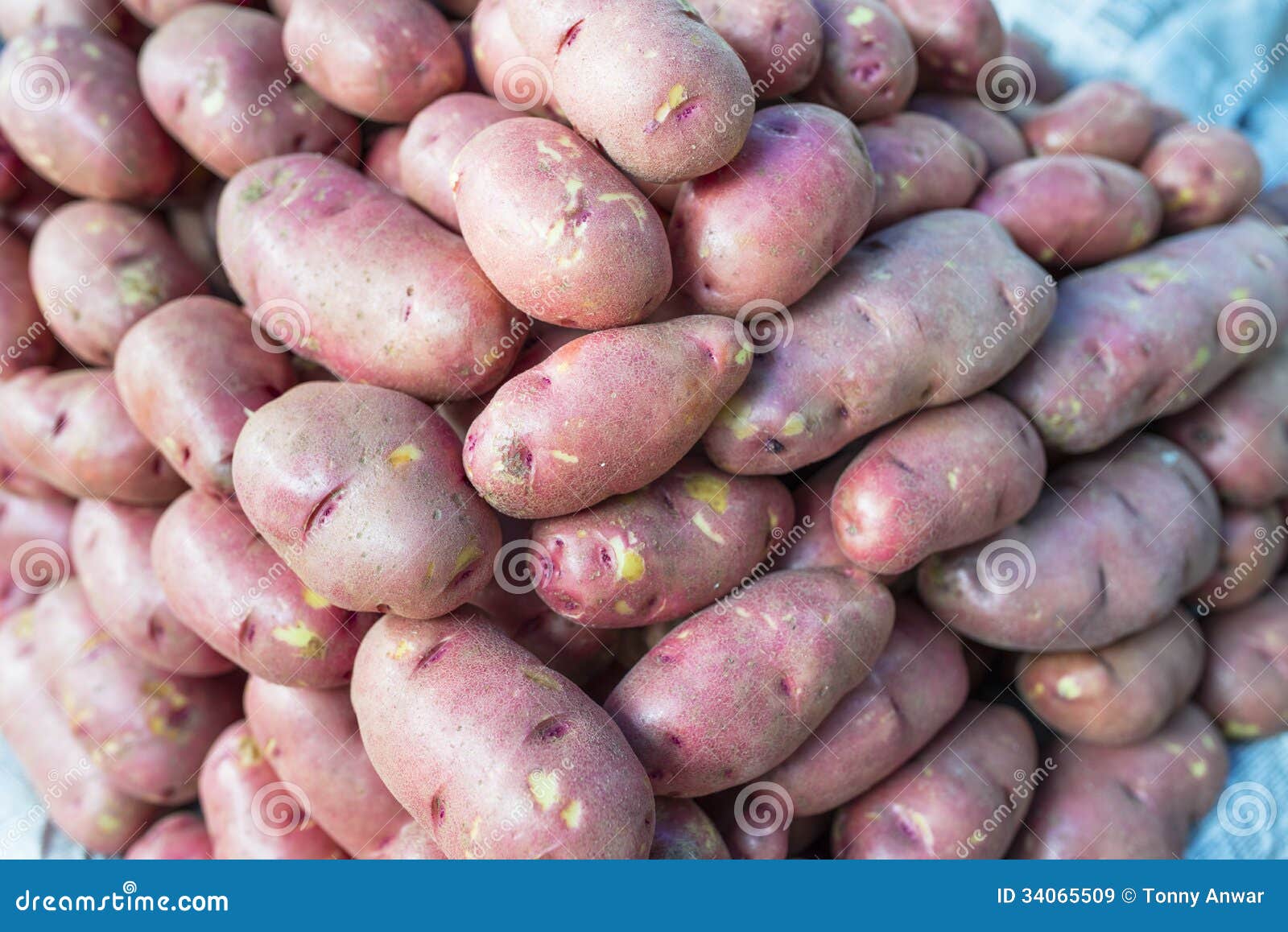 Washed Potato stock image. Image of food, root, pile - 34065509