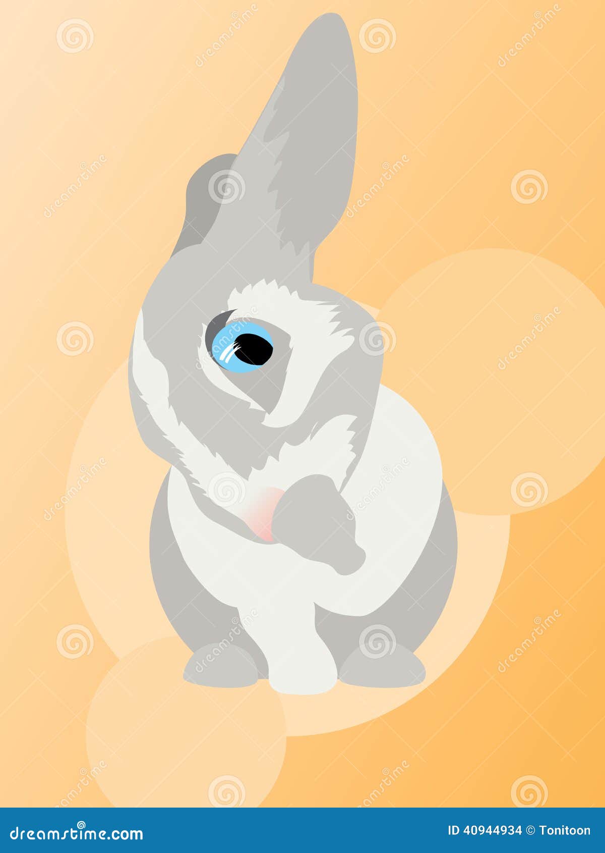 Washed Rabbit Animal Bunny Eye Stock Illustration - Illustration of ...